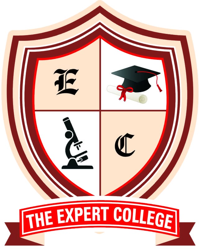Home | The Expert College